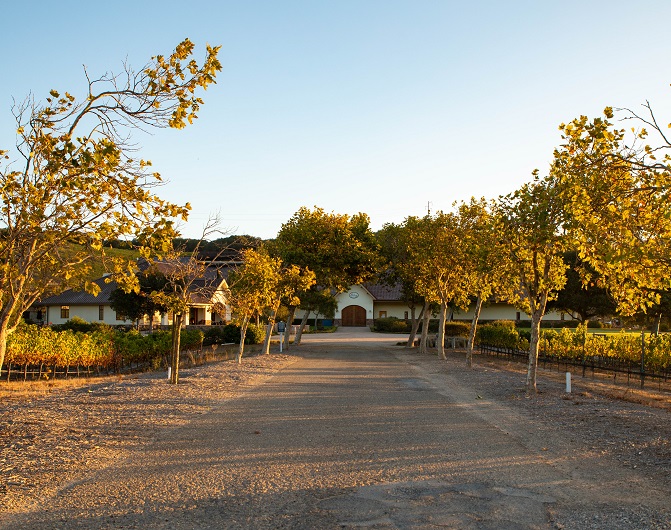Contact Us - Foley Estates