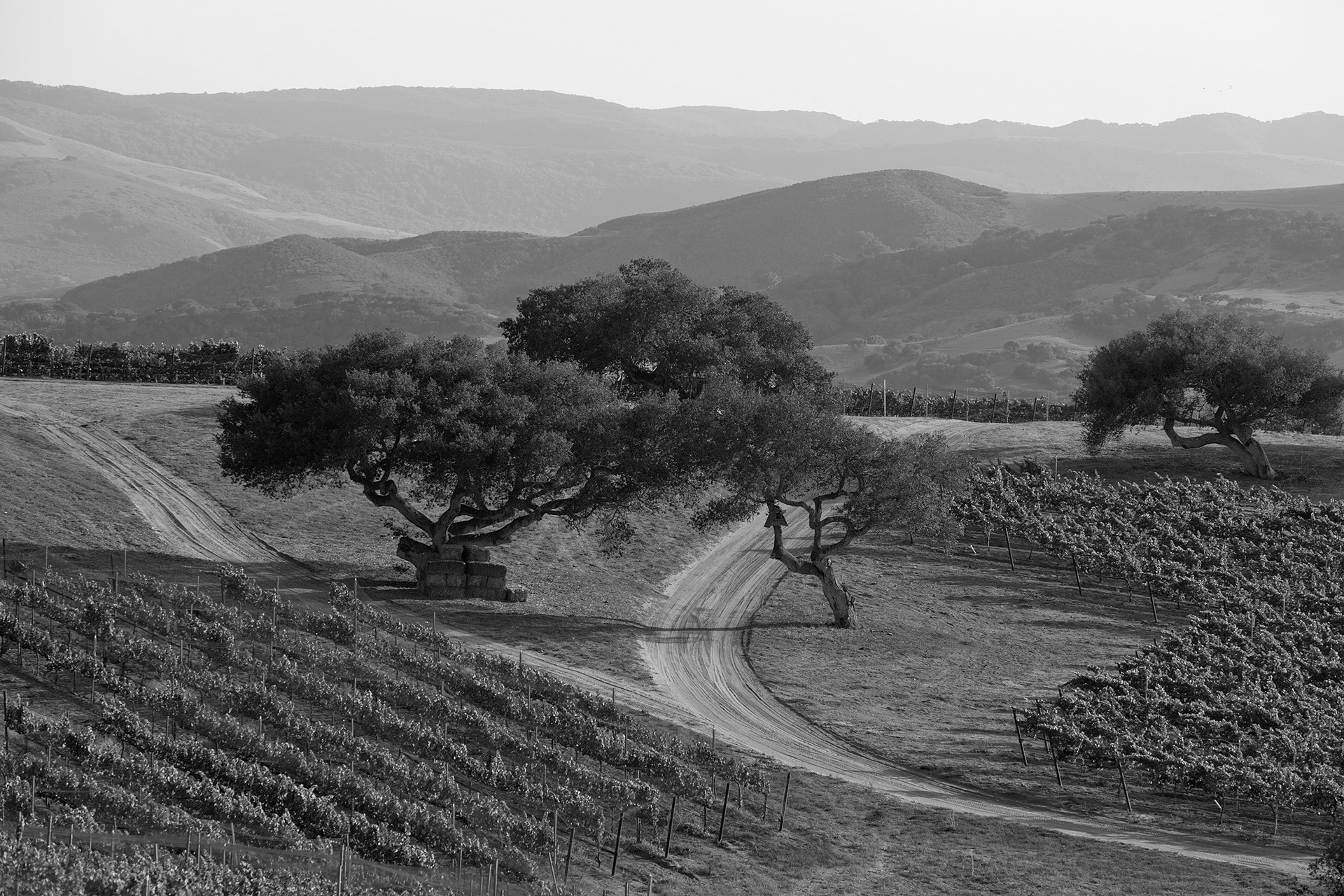 Newsletter Sign Up - Foley Estates